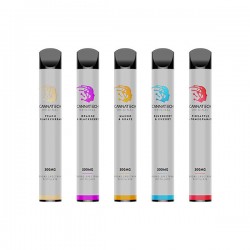 SP2S Reusable Vape 600 Puffs | Vapesourcing