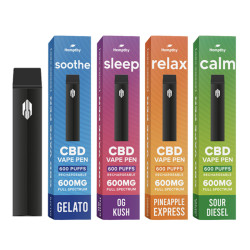 Enjoy Ultra Disposable Vape 9000 Puffs Endless Pleasure