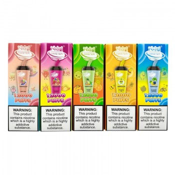 JNR Shisha Hookah 12k Disposable Vape (10pcs/pack)