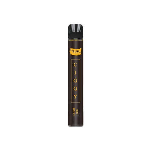 Bud Vape Ciggy Disposable Vape Kit 800 Puffs Sale