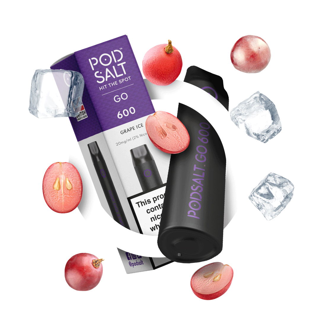 Pod Salt Go Disposable Vape Kit 600 Puffs